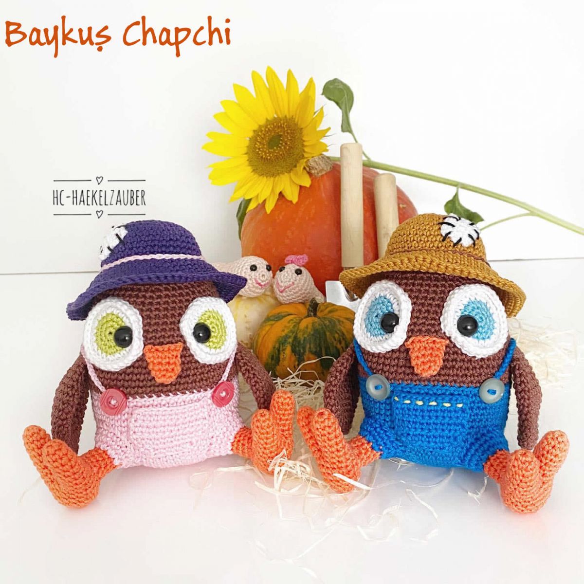 Amigurumi Türkiye-Baykuş Chapchi Tarifi